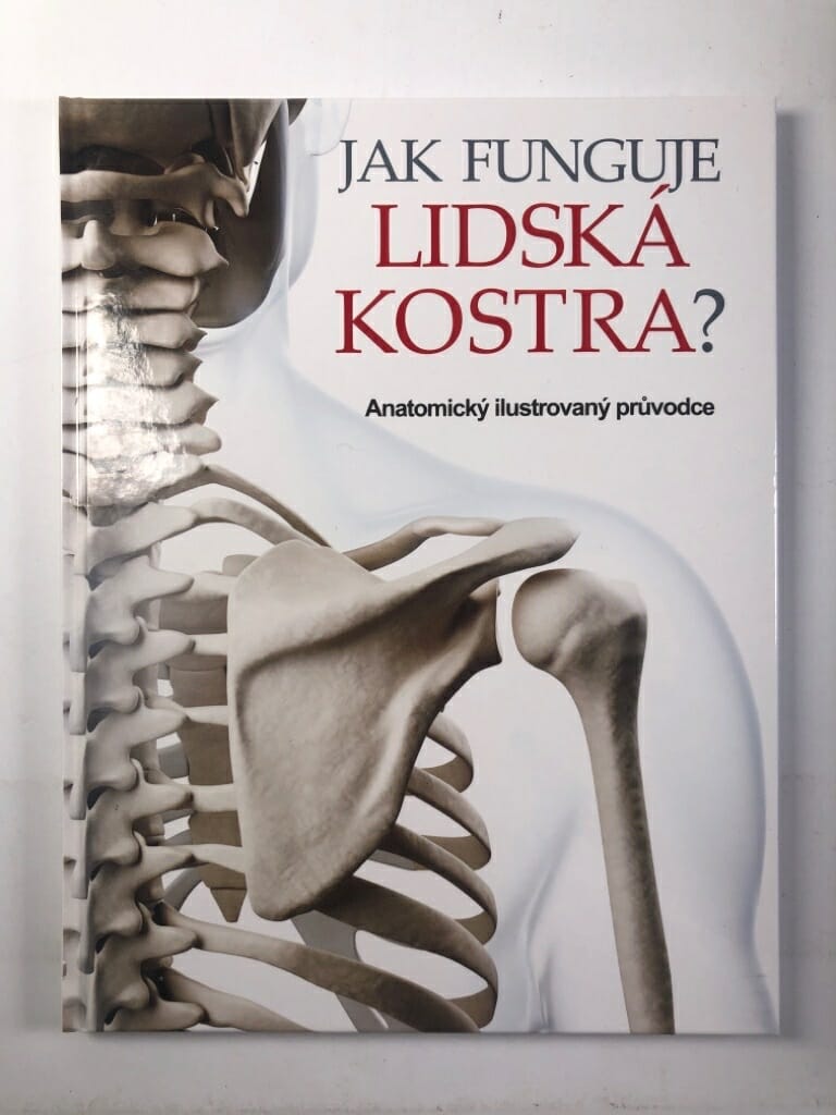 Jak funguje lidská kostra? - Peter Abrahams od 319 Kč | Reknihy