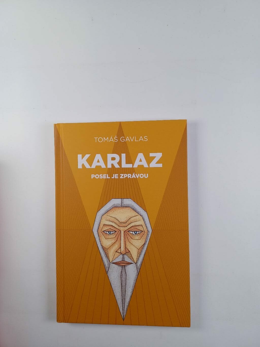 Karlaz: Posel je zprávou - Tomáš Gavlas od 79 Kč | Reknihy